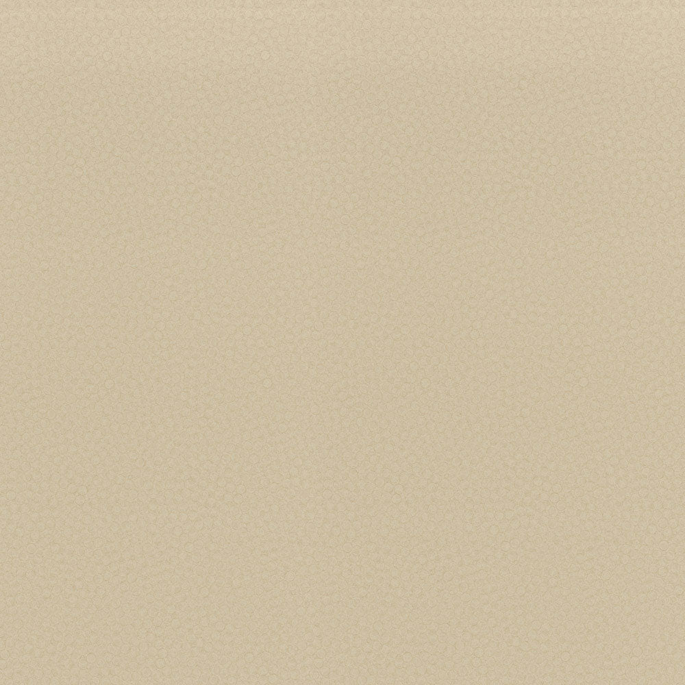 Cream Fizz - 4933 - Wilsonart Laminate Matching Color Caulk – Feeney Supply