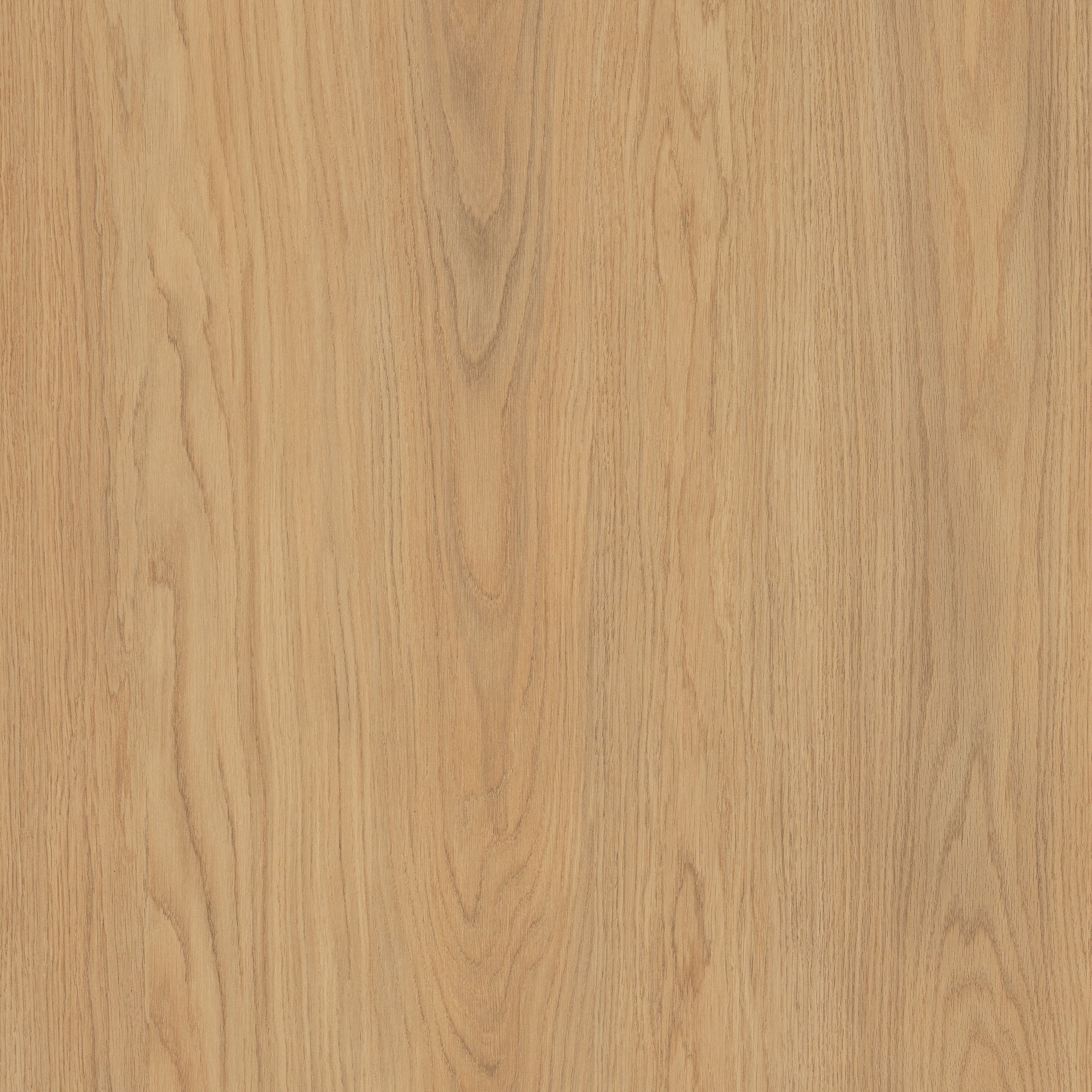 Natural White Oak - 9038 - Formica Laminate Samples – Feeney Supply